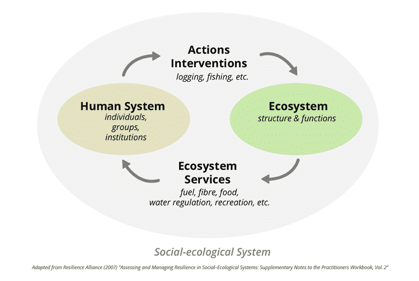 Socio Ecological Management Of Coral Reefs Coral Guardian