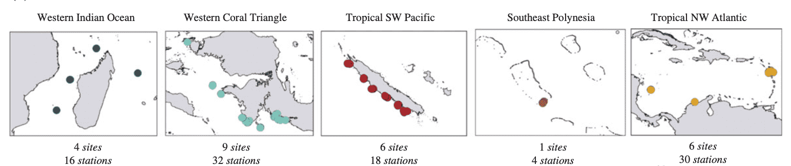 Fish biodiversity on coral reefs unraveled by environmental DNA