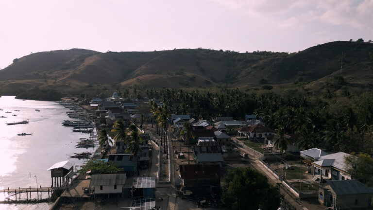 Adopt a coral to help protect marine biodiversity | Coral Guardian