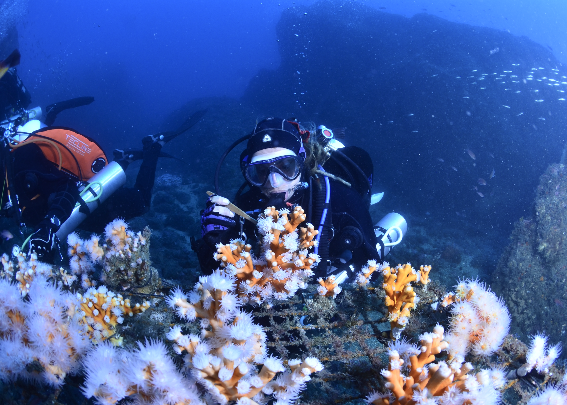 Participatory marine conservation | Coral Guardian